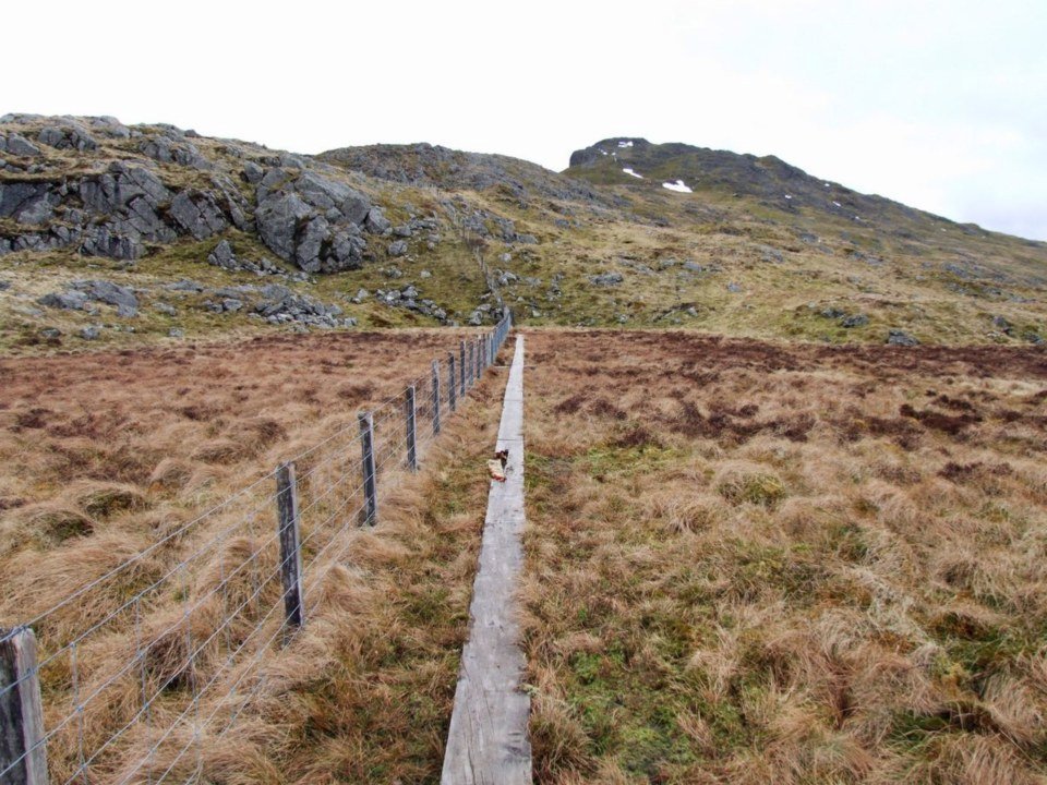 Walk up Aran Fawddwy and Aran Benllyn from Llanuwchllyn | Mud and Routes