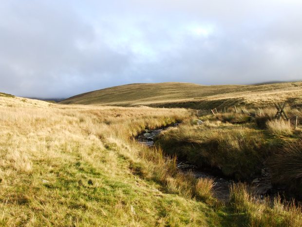 Cadair Berwyn and Moel Sych Hill Walk from Llandrillo | Mud and Routes