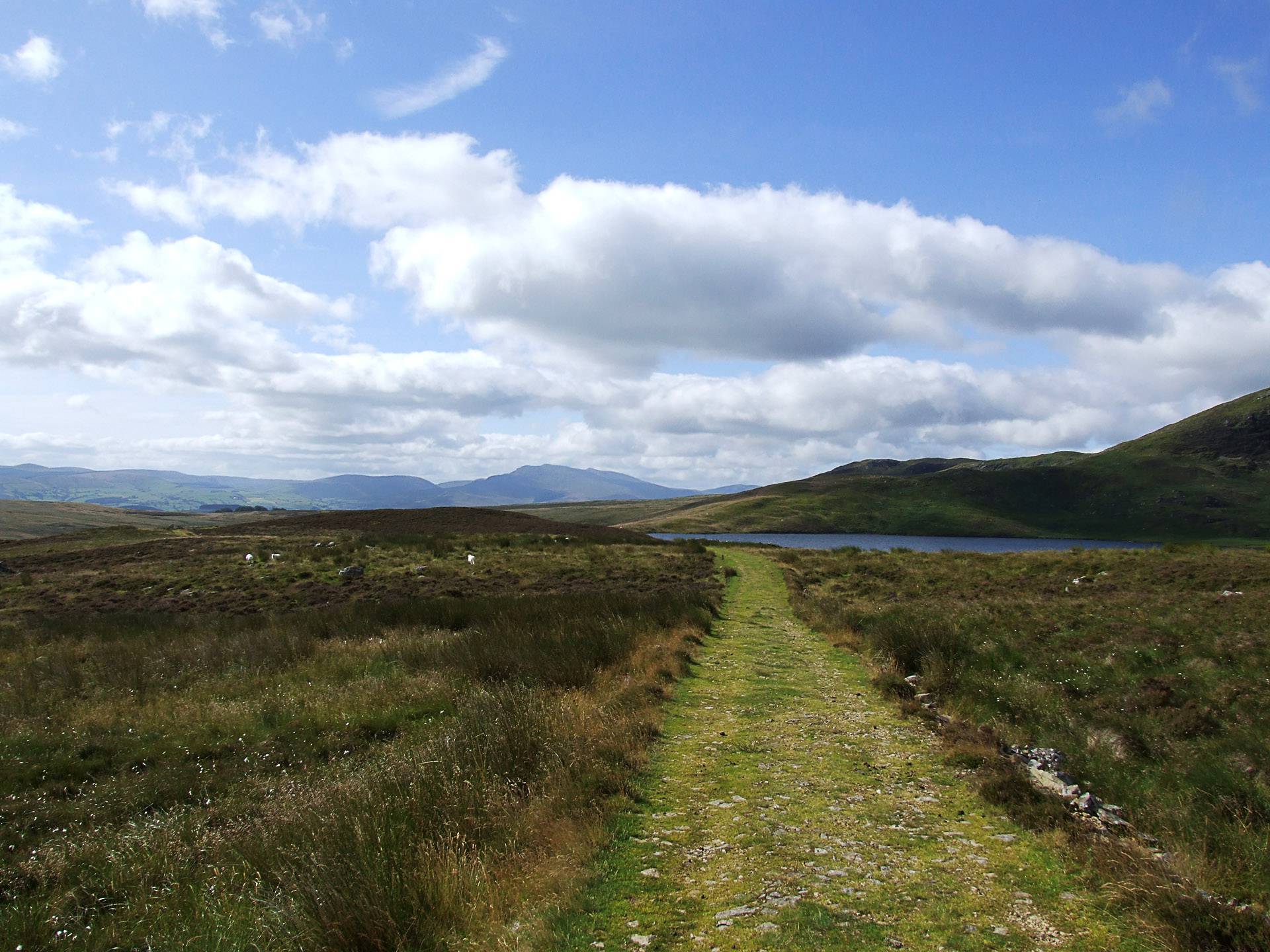 Arenig Fawr and Moel Llyfnant Circular Walk | Mud and Routes