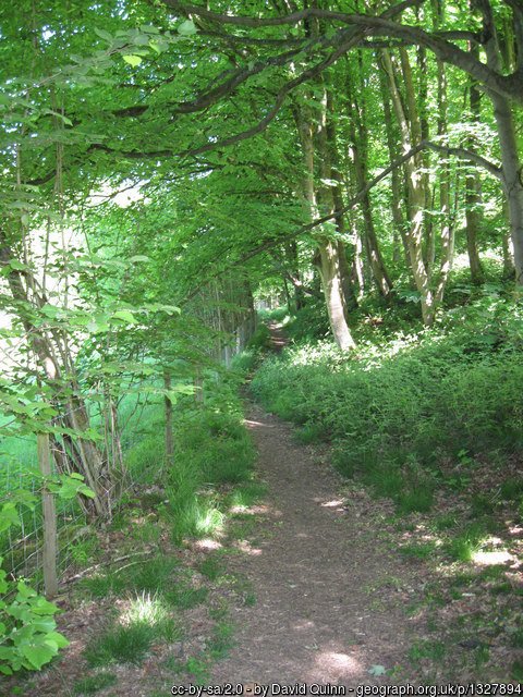 Llanferres to Maeshafn Walk |Routes | Mud and Routes