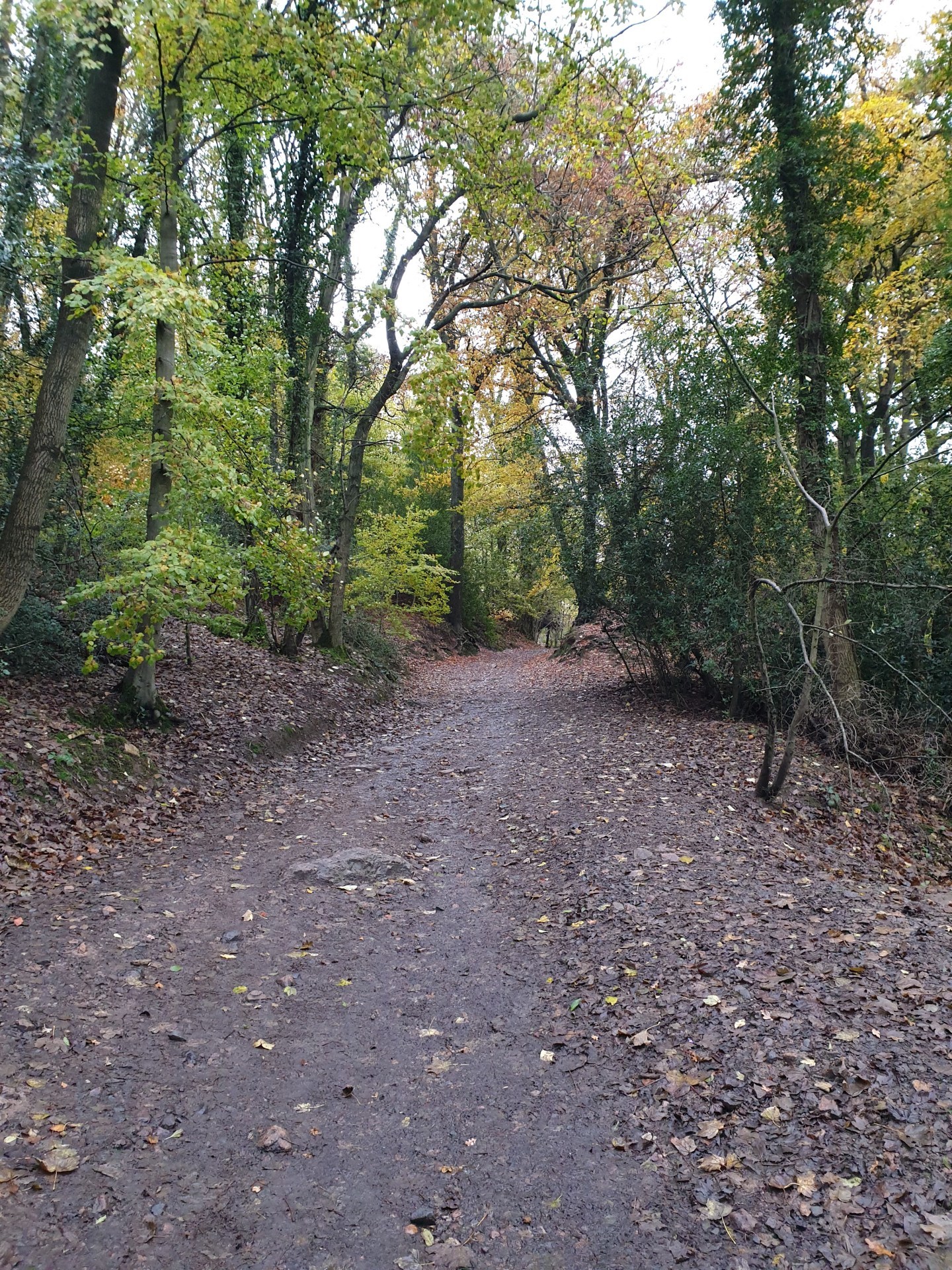 The Wrekin from Telford - Shropshire Walks