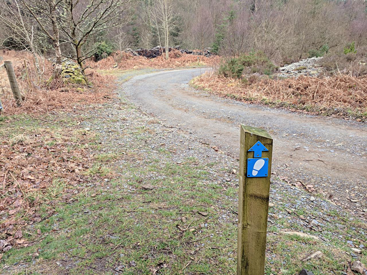 Swallow Falls Walk from Llyn Sarnau or Betws-y-coed | Mud and Routes