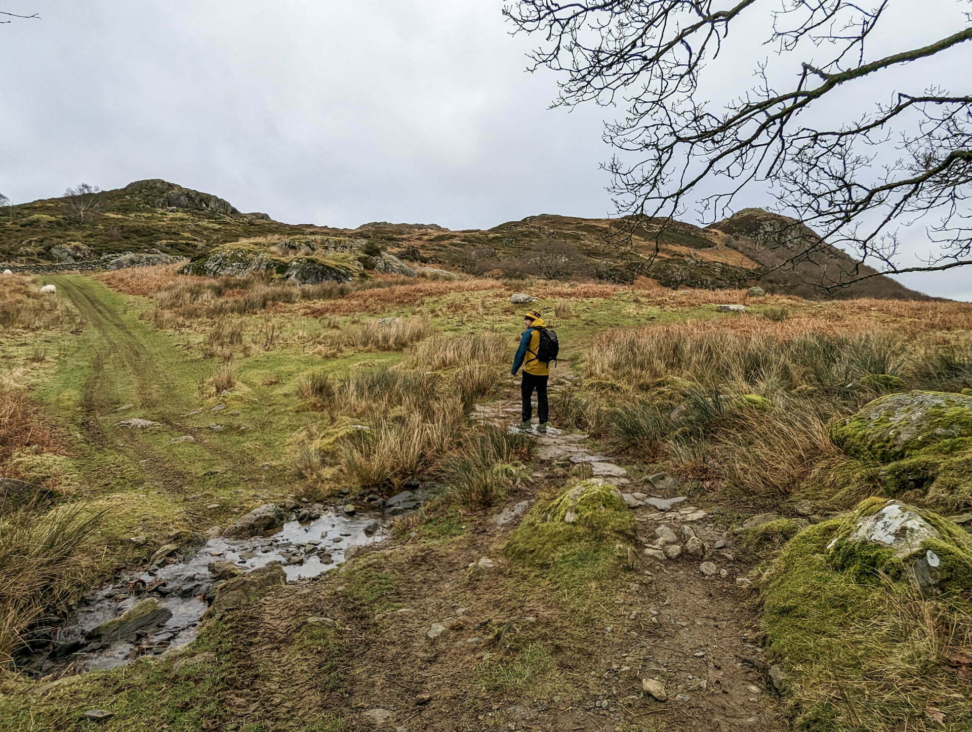 Walk up Crimpiau from Capel Curig | Mud and Routes