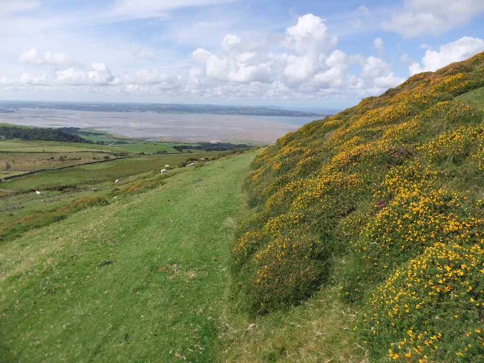 Carnedd Llywelyn and Foel Fras from Llanfairfechan | Mud and Routes