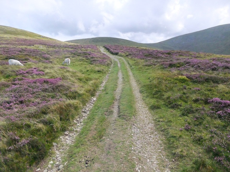 Carnedd Llywelyn and Foel Fras from Llanfairfechan | Mud and Routes