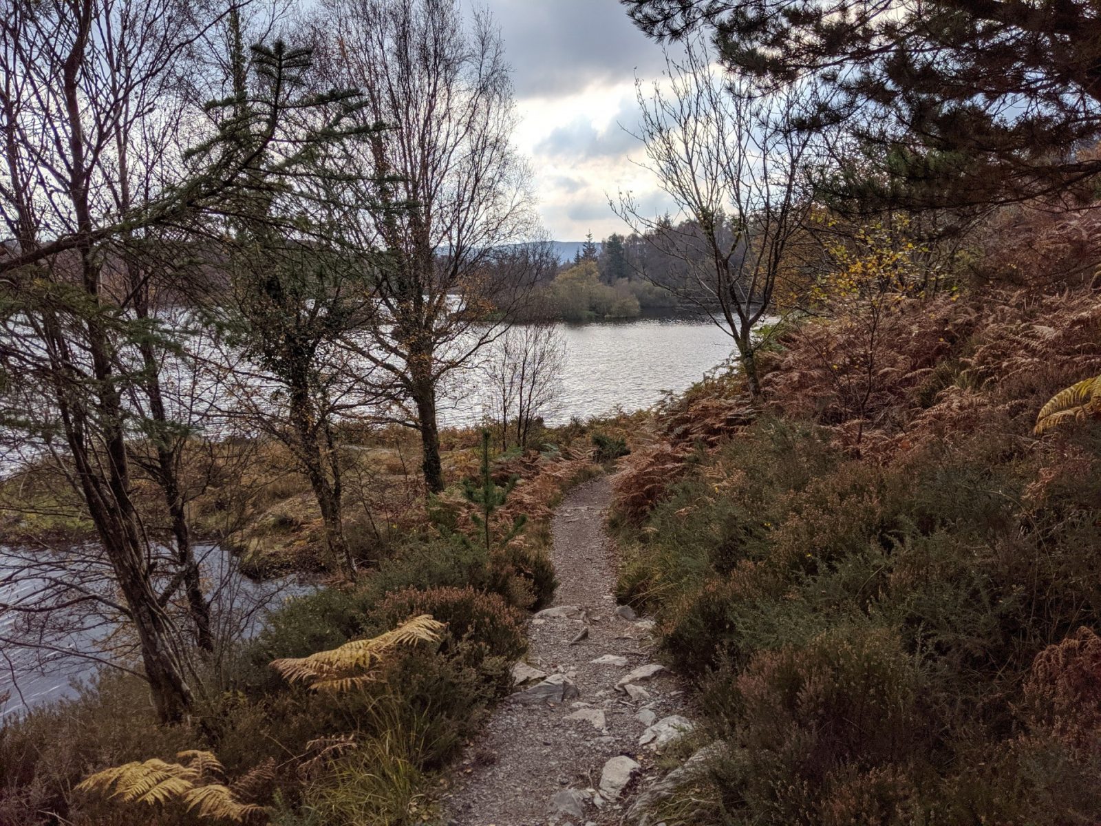 Llwybr Llyn Elsi Trail Walk from Betws-y-coed | Mud and Routes