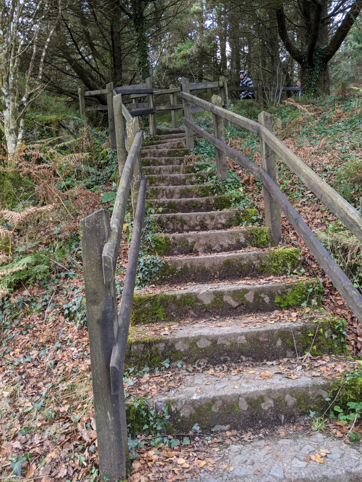 Llwybr Llyn Elsi Trail Walk from Betws-y-coed | Mud and Routes
