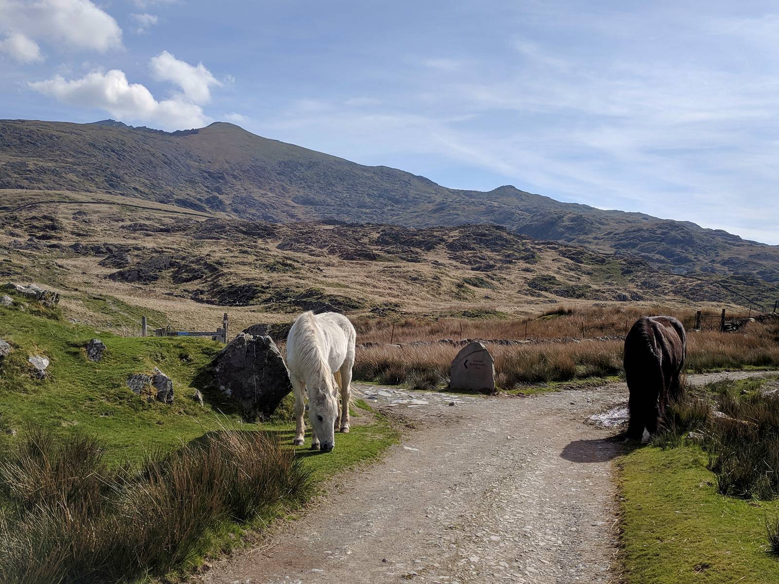 The Rhyd Ddu Path up Snowdon | Mud and Routes