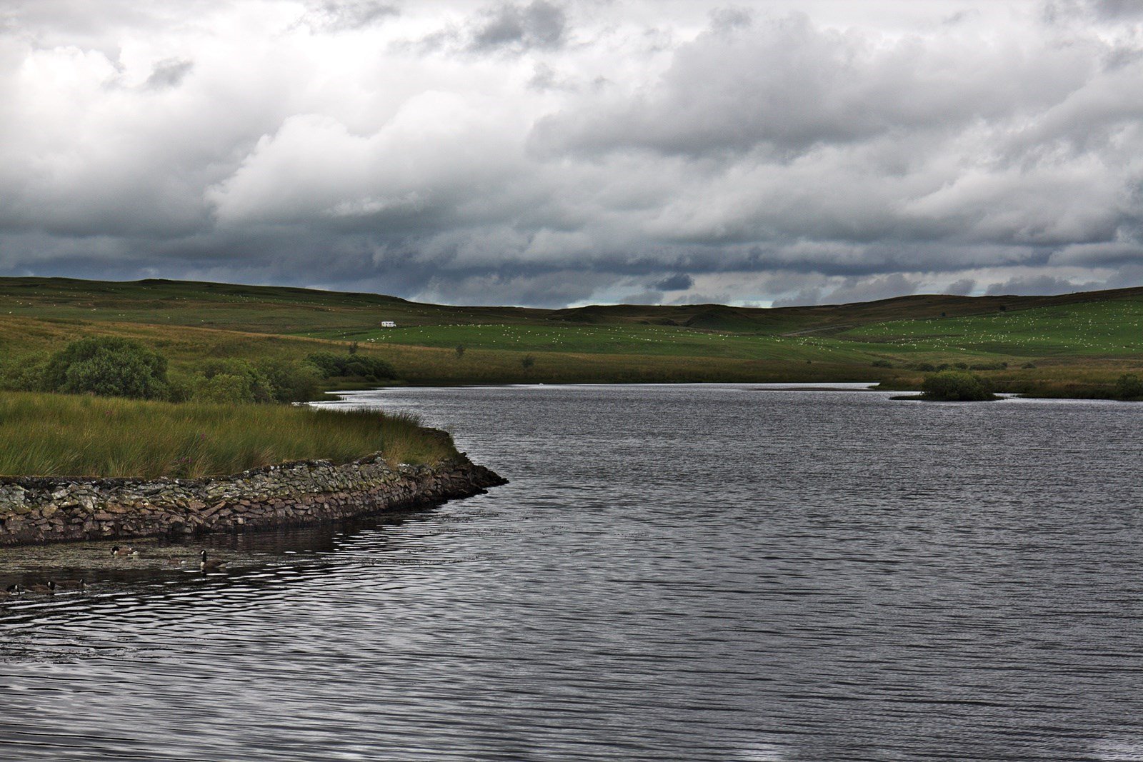 Llyn Brenig and Alwen Reservoir Walk - Two Lakes Trail | Mud and Routes