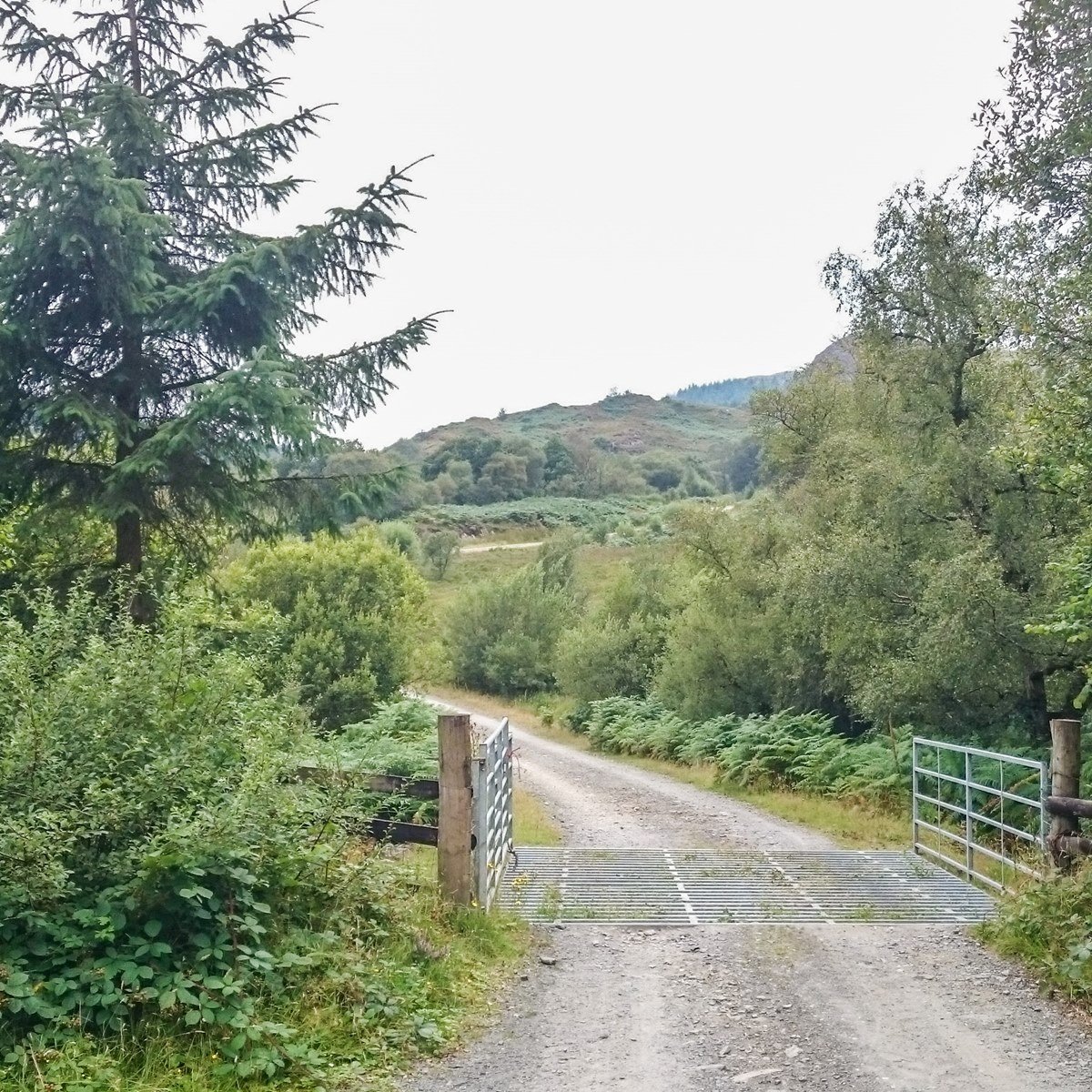 Llyn Crafnant Walk from Capel Curig | Mud and Routes