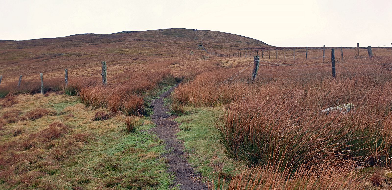 Walk up Cadair Berwyn from Pistyll Rhaeadr - Wild Route | Mud and Routes